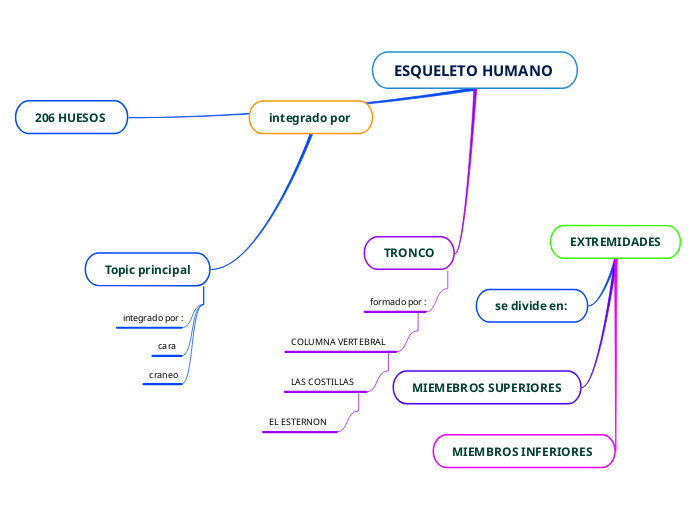 ESQUELETO HUMANO - Mind Map